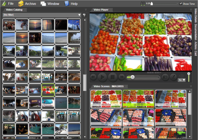 Fast Video Cataloger by Vidine: Video Content Management